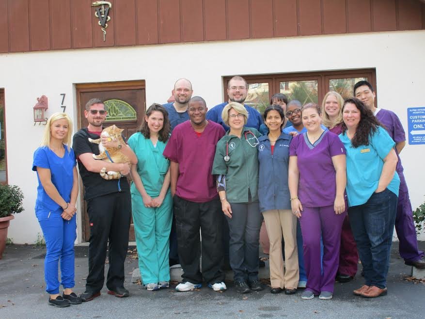 ALPINE VETERINARY HOSPITAL - Updated December 2025 - 22 Photos & 62 ...