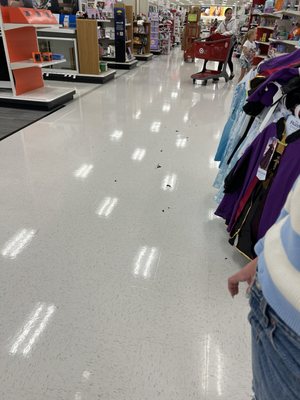 TARGET - Updated August 2025 - 33 Photos & 52 Reviews - 1167 Washington ...