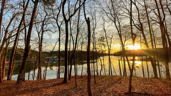 LAKE JOHNSON PARK - Updated December 2025 - 292 Photos & 146 Reviews ...