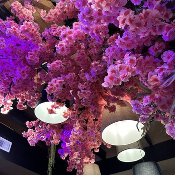 LAZY FISH - Updated August 2024 - 441 Photos & 486 Reviews - 10 E ...