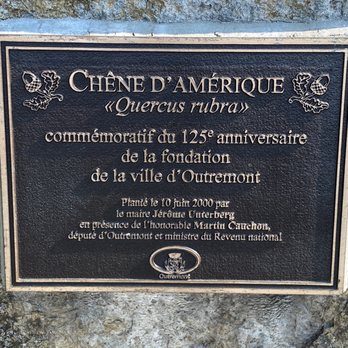 PARC BEAUBIEN OUTREMONT - Updated August 2025 - 461 Côte-Sainte ...