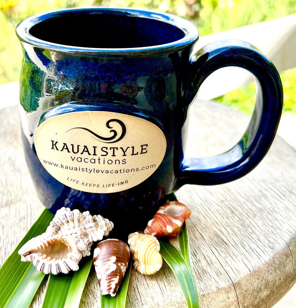 KAUAI STYLE VACATIONS - Updated April 2025 - 44 Photos - 4372 Ulua St ...