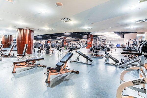 RWJ FITNESS & WELLNESS CENTER - Updated October 2025 - 16 Photos & 79 ...