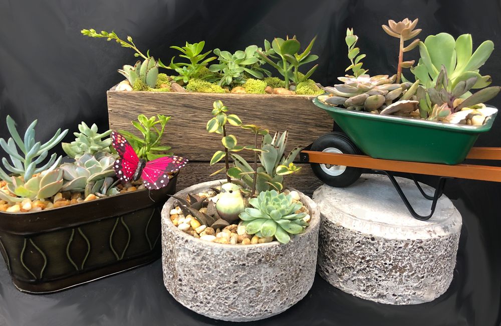 CONTRI BROTHERS GIFT BASKETS - Updated May 2024 - 11 Photos - 6911 1st ...