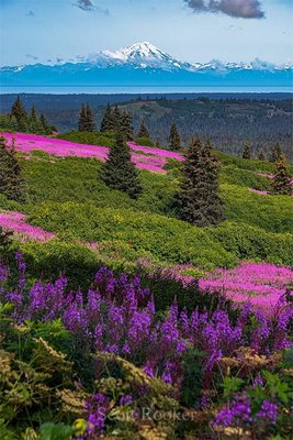 WALMART SUPERCENTER - 20 Photos & 30 Reviews - 1221 S Hayford Rd ...