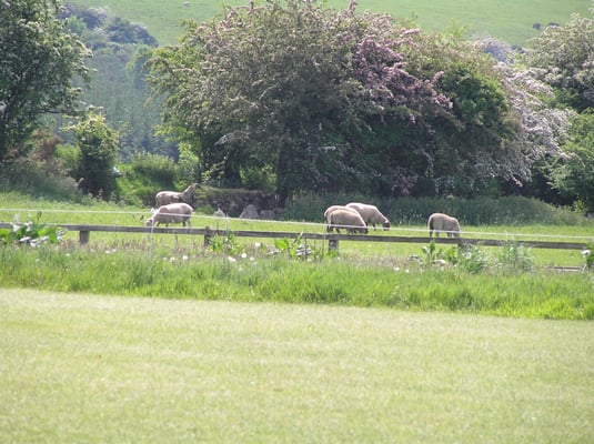 MOAT FARM CAMPING & CARAVAN PARK - Wicklow, Republic of Ireland ...
