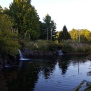 PINE CREEK MINIATURE GOLF - 52 Photos & 47 Reviews - Mini Golf - 394 Rt ...