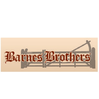 BARNES BROTHERS FENCING - 15 Photos - Contractors - London, United ...