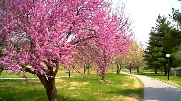 MACKEN PARK - 15 Photos & 16 Reviews - 1000 E 27th Ave, North Kansas ...