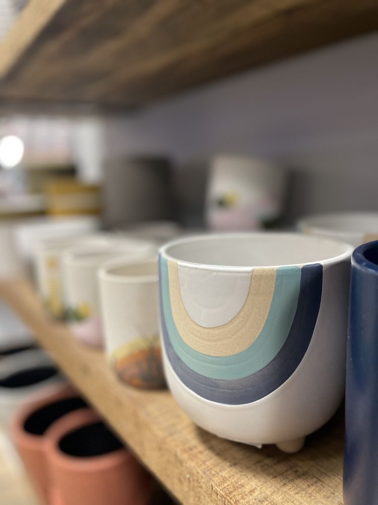 ALOE & JADE PLANT BOUTIQUE - Updated July 2025 - 10 Photos - 130 Walnut ...