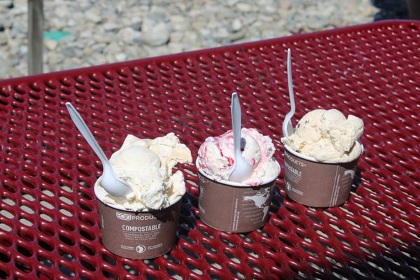 FACE ROCK CREAMERY - 206 Photos & 299 Reviews - 680 2nd St Se On Hwy ...