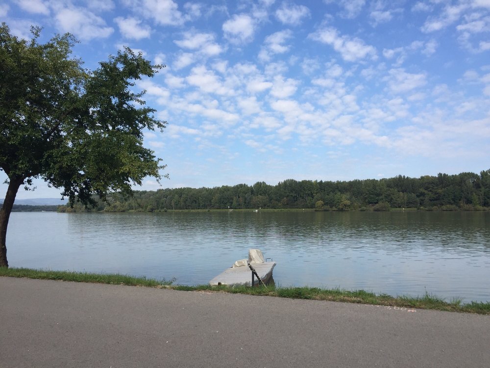 ELFRIEDE FIDELSBERGER - O. Hollenbg. Hptstr. 2, Krems an der Donau ...