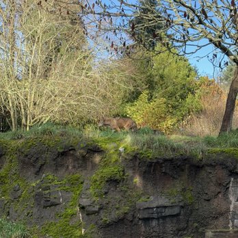 POINT DEFIANCE ZOO & AQUARIUM - Updated May 2026 - 1887 Photos & 530 ...
