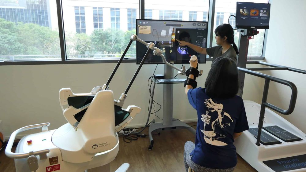 LIFEWEAVERS THERAPY TEAM - Updated May 2024 - 73 Oxley Rise, The Rise ...