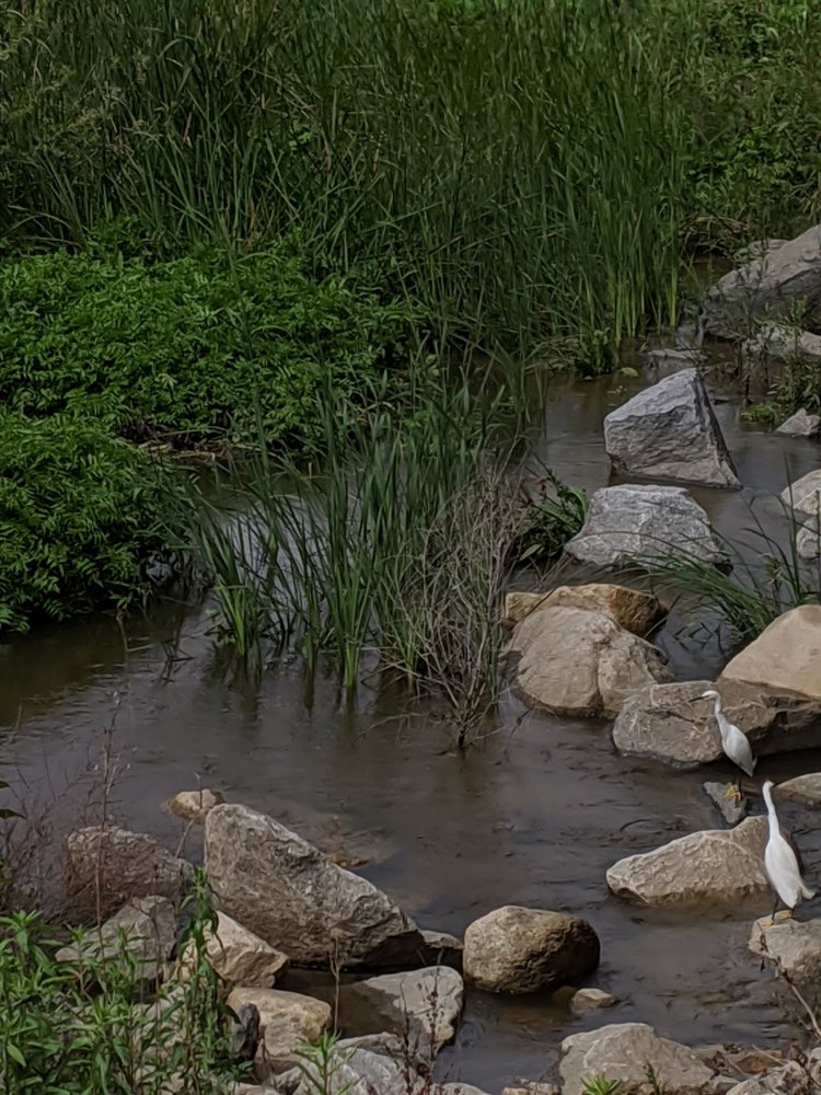 SAN LUIS REY BIKE TRAIL - 145 Photos & 57 Reviews - College Blvd And N ...