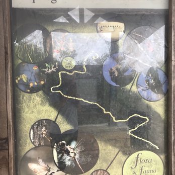 SPRING LAKE NATURAL AREA - Updated December 2025 - 50 Photos & 11 ...