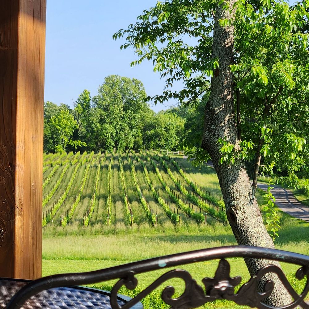 Lorrie Vidal Pictures Bella Freud and Susie Bick's Design Collaboration ...