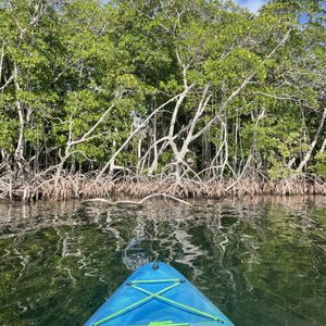 CALUSA CAMPGROUND RESORT MARINA - 27 Photos & 18 Reviews - 325 Calusa ...