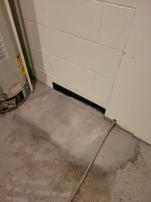 EVERDRY WATERPROOFING - Updated March 2025 - 233 Photos & 114 Reviews ...