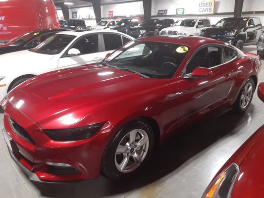 GRETNA AUTO OUTLET - Updated January 2026 - 56 Reviews - 12190 S 216th ...