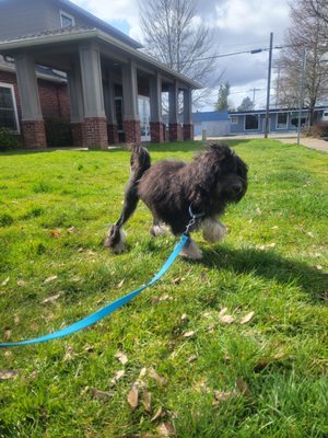 REID VETERINARY HOSPITAL - Updated December 2025 - 35 Reviews - 933 ...