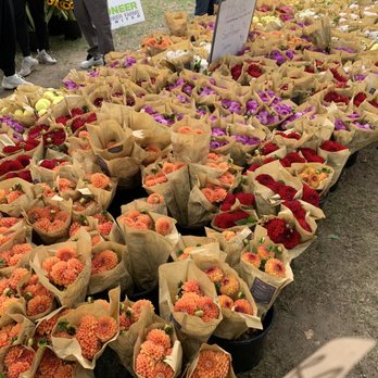 TORONTO FLOWER MARKET - Updated October 2025 - 1001 Queen Street W ...