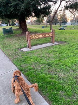 SANDMAN PARK - Updated August 2025 - Stockton, California - Parks - Yelp