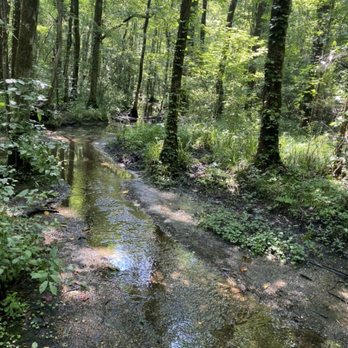 GODS ACRE HEALING SPRINGS - Updated December 2025 - 129 Photos & 26 ...