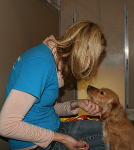 FOREST RIDGE KENNEL - Updated September 2025 - 14 Photos & 17 Reviews ...