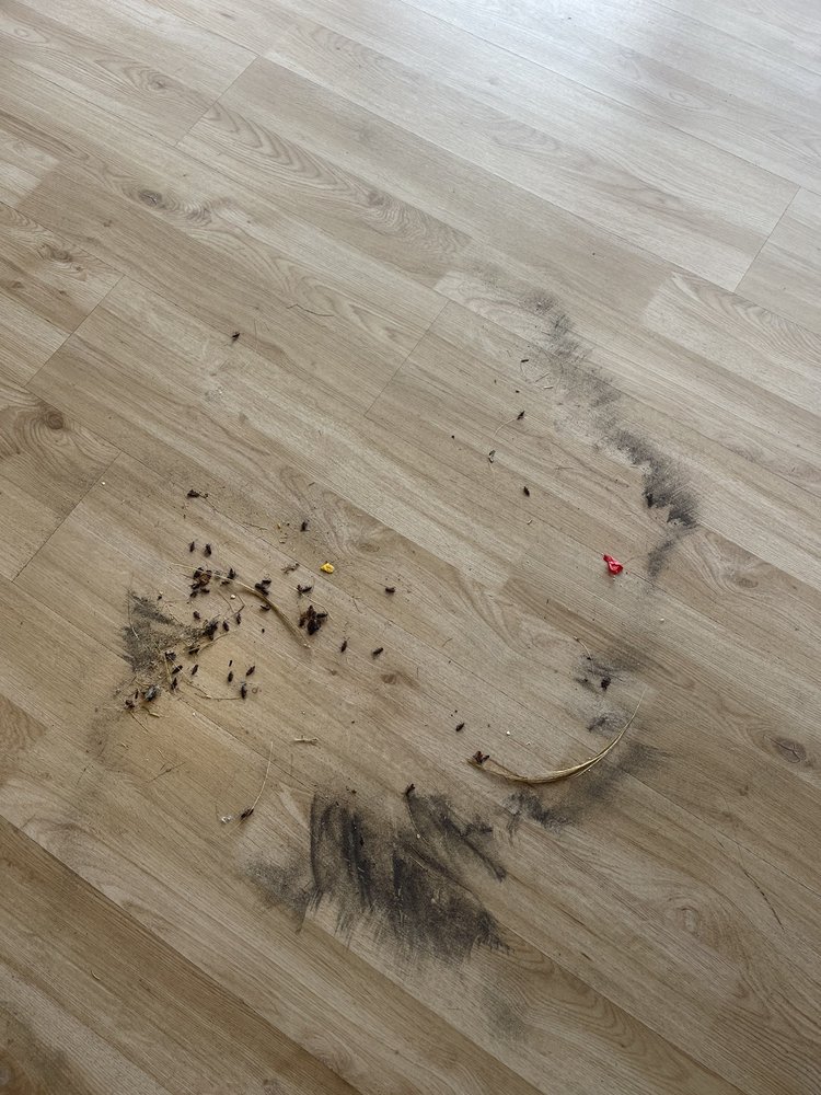 VIP EVENT HALL - Updated December 2025 - 31 Photos - 884 Buford Dr ...