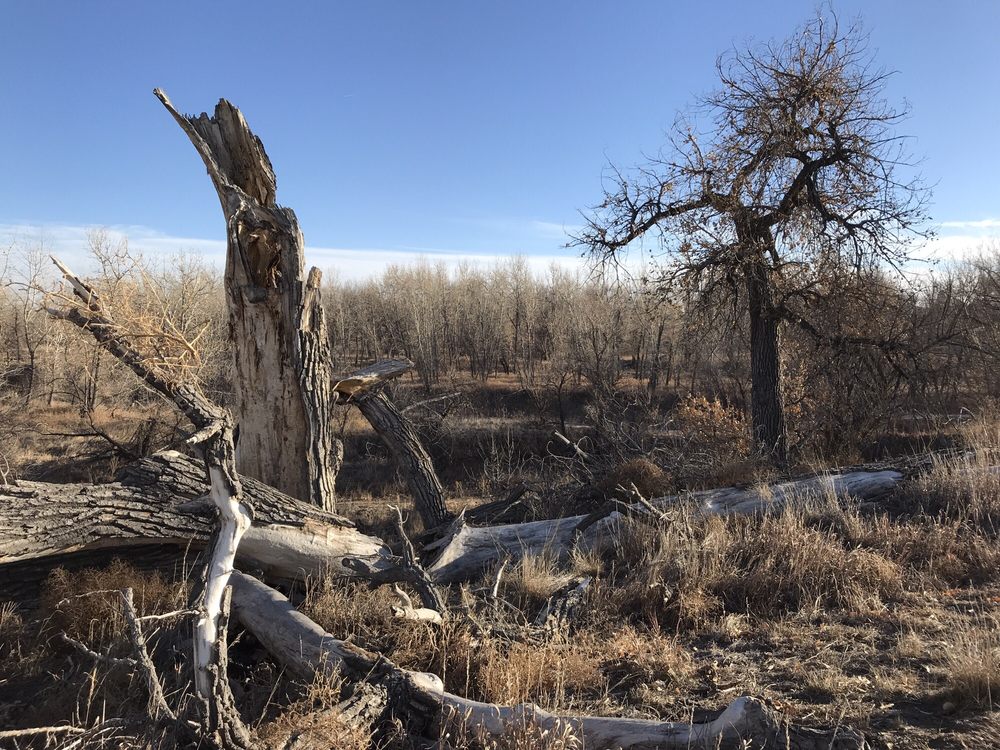STAR K RANCH OPEN SPACE - Updated October 2025 - Aurora, Colorado ...