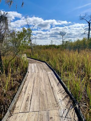 BARATARIA PRESERVE - 255 Photos & 51 Reviews - 6588 Barataria Blvd ...