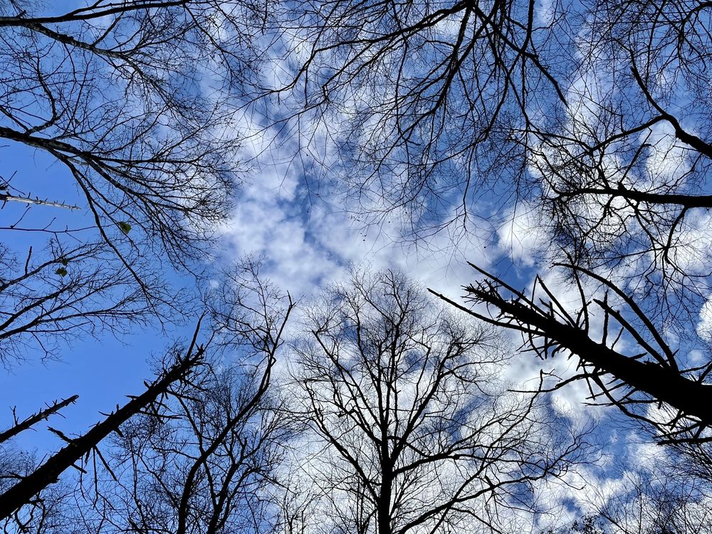 ROARING FORK FALLS - Updated January 2025 - 11 Photos - 208 Busick Work ...