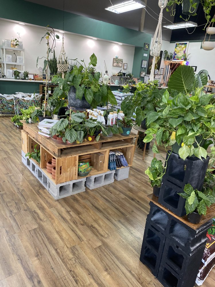 PLANT HAVEN - Updated April 2025 - 724 Bultman Dr, Sumter, South Carolina - Nurseries ...
