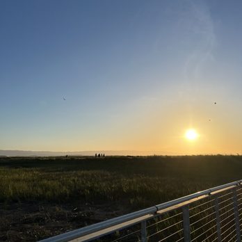 ALVISO MARINA COUNTY PARK - 1474 Photos & 207 Reviews - 1195 Hope St ...