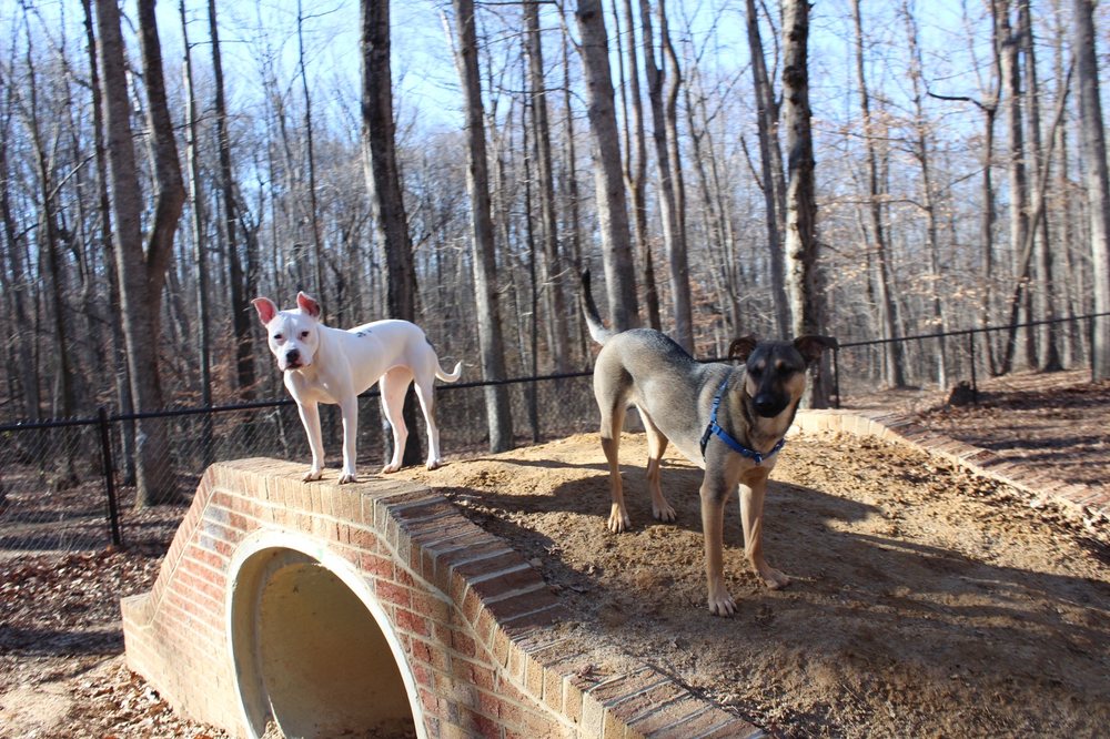 OAK RIDGE TOWN PARK - Updated July 2025 - 6231 Lisa Dr, Oak Ridge ...