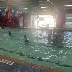 GOLDFISH SWIM SCHOOL - HOUSTON HEIGHTS - Updated August 2025 - 14 ...