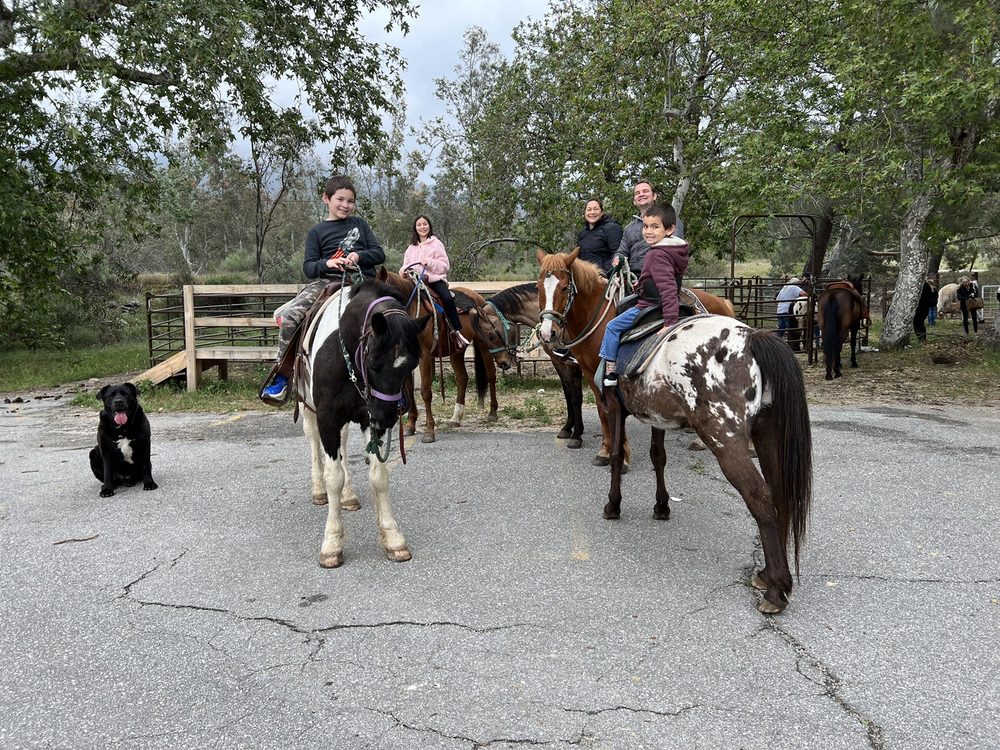 CABLE CANYON TRAIL RIDES - Updated December 2025 - 141 Photos & 38 ...