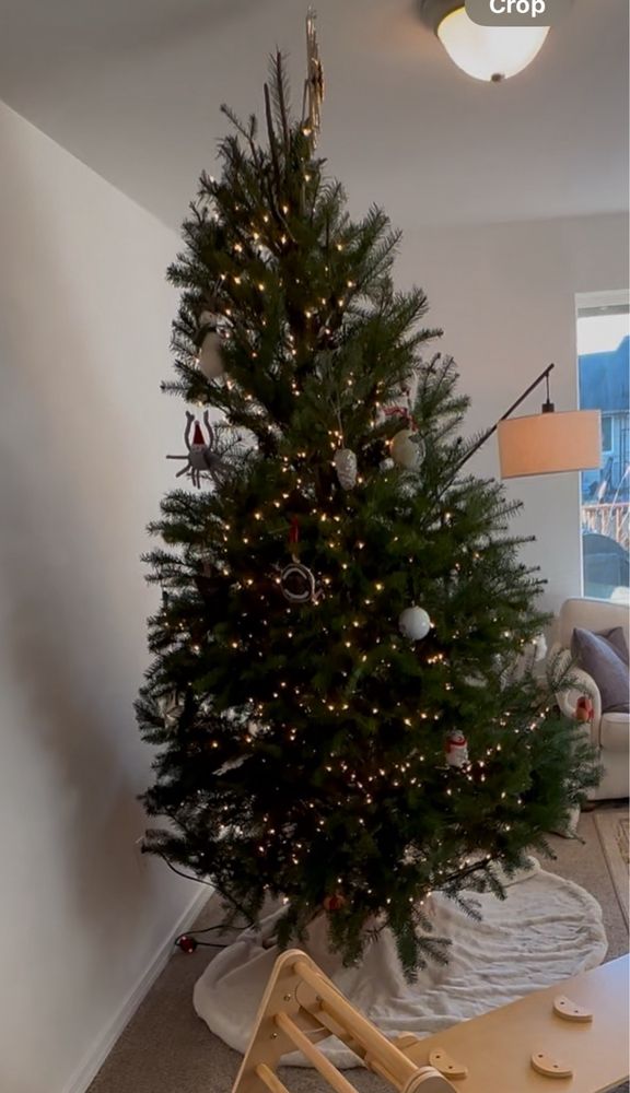 LOCHSLOY ACRES - Updated October 2025 - 23 Reviews - 5511 State Rd 92 ...