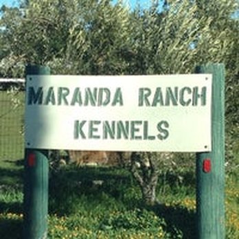 MARANDA RANCH KENNELS - Updated January 2026 - 34 Photos & 33 Reviews ...