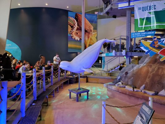 AQUARIUM DU QUÉBEC - 258 Photos & 42 Reviews - 1675 Avenue des Hôtels ...