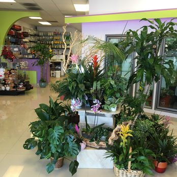 Elite Flower Services Inc Miami Fl | Best Flower Site