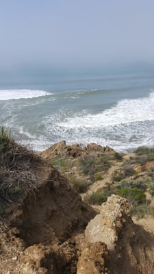 POINT SAL STATE BEACH - Updated September 2025 - 21 Photos - Brown Rd ...