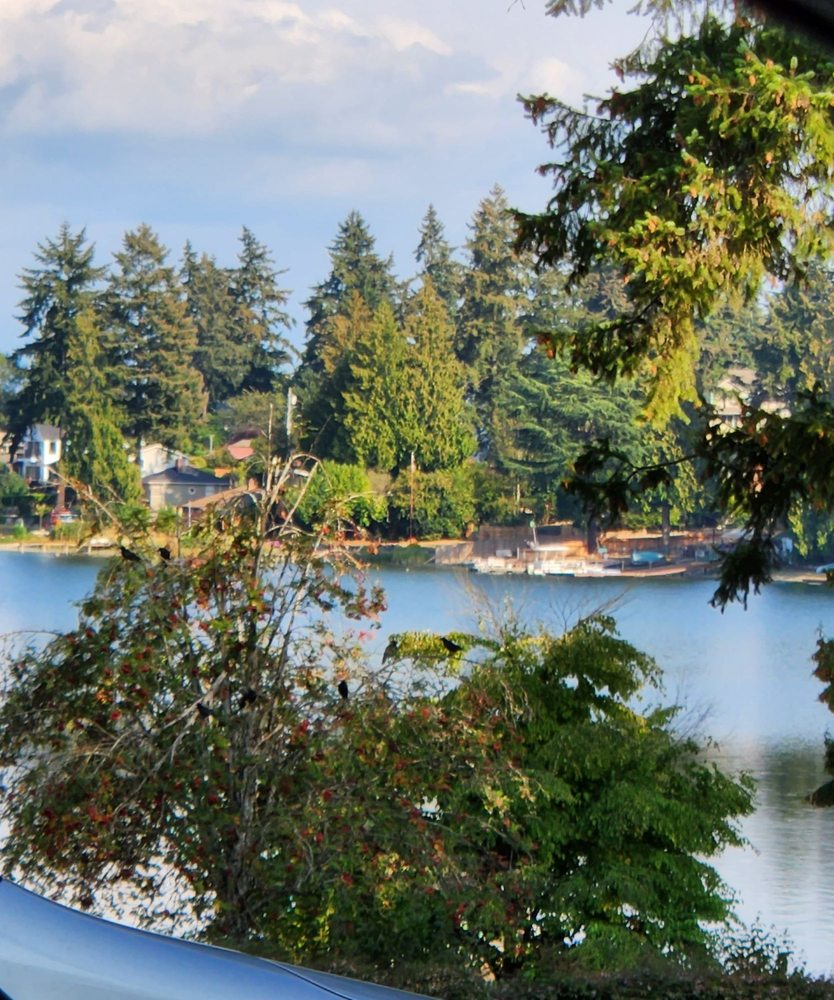 ANGLE LAKE PARK - Updated September 2025 - 83 Photos & 49 Reviews ...