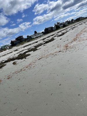 PINE POINT BEACH - Updated November 2025 - 54 Photos & 17 Reviews ...