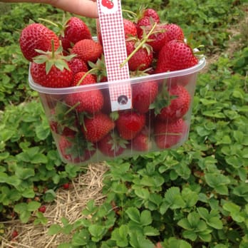 KENYON HALL FARM - Updated May 2025 - Winwick Lane, Warrington ...