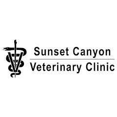 SUNSET CANYON VETERINARY CLINIC - Updated December 2025 - 40 Photos ...
