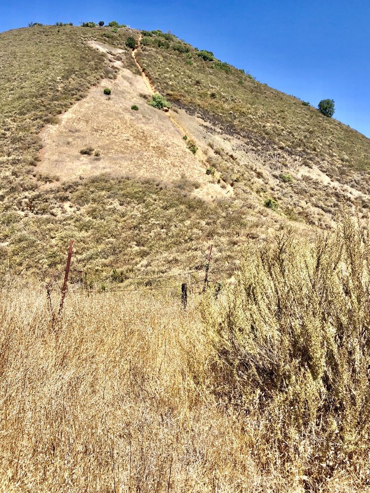EL TORO MOUNTAIN - Updated May 2026 - 10 Photos - 16695 Dewitt Ave ...