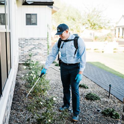 BLUE SKY PEST CONTROL - Updated December 2025 - 30 Photos & 47 Reviews ...