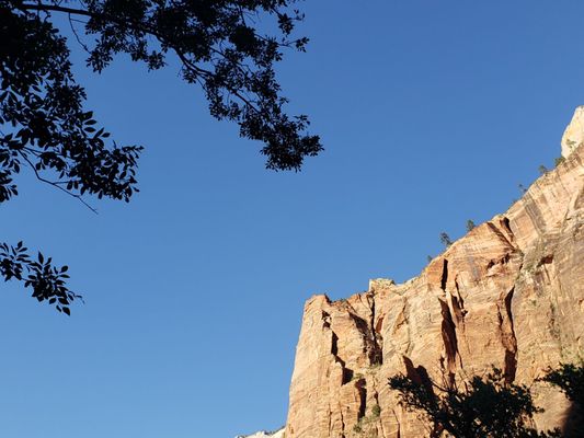 RED ROCK GRILL - 186 Photos & 141 Reviews - American (Traditional) - 1 ...